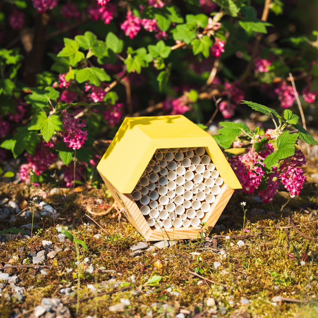 Bee House Hexagon – Russborough Shop